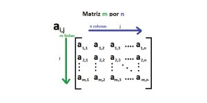 Os 15 melhores exercícios de Matrizes + Gabarito!