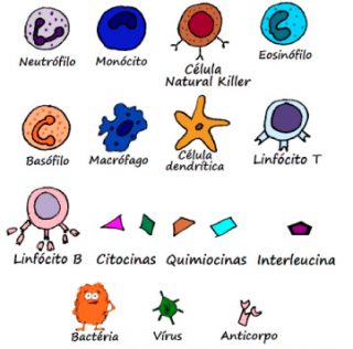 Células do Sistema Imune - TODAS as Células do Sistema Imune!