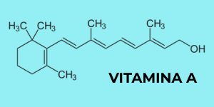 Saiba o que são VITAMINAS e quais suas funções