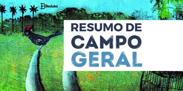 Resumo de Campo Geral de Guimarães Rosa + Análise!