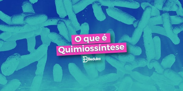 Quimiossíntese: o que é, como ocorre, etapas e importância do processo!
