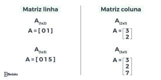Matriz (O MELHOR RESUMO)