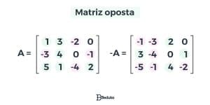 Matriz (O MELHOR RESUMO)