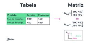 Matriz (O MELHOR RESUMO)