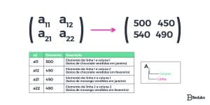 Matriz (O MELHOR RESUMO)