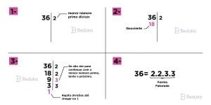 Fatoração e seus tipos [Numérica e Polinômios + Exemplos!]