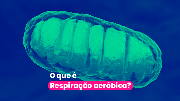 Respiração Aeróbica: Entenda como o corpo obtém energia para funcionar